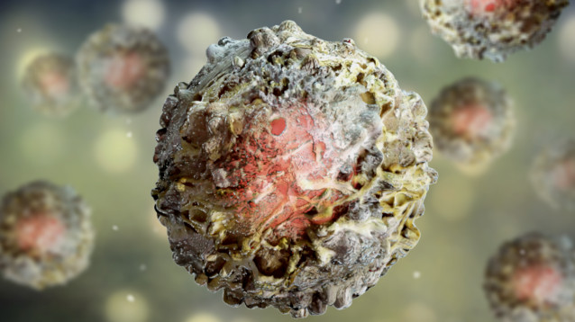 Celergen - Cell Therapy | An Introduction to Cellular Repair & How It Works